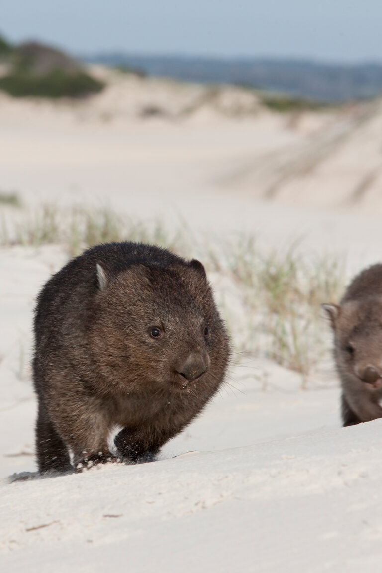 AUSTRALIAN NORTHERN WALKS - Life's An Adventure Wow Mazing Walks