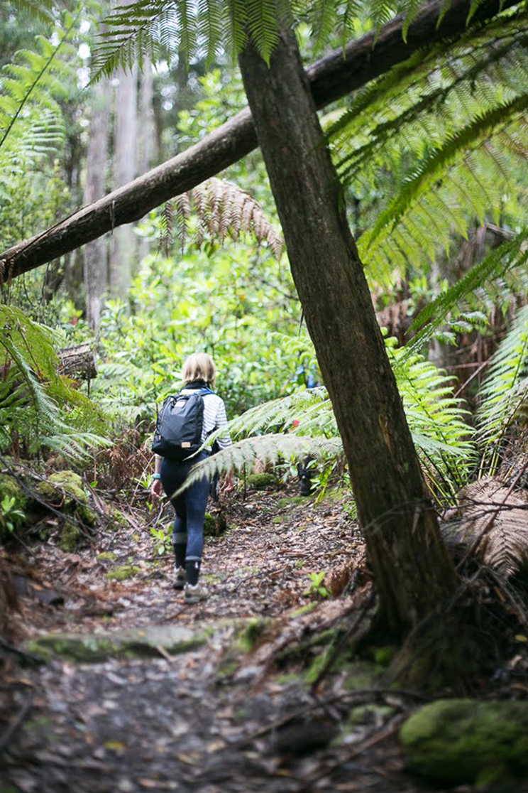 WALK THREE CAPES - Life's An Adventure Wow Mazing Walks