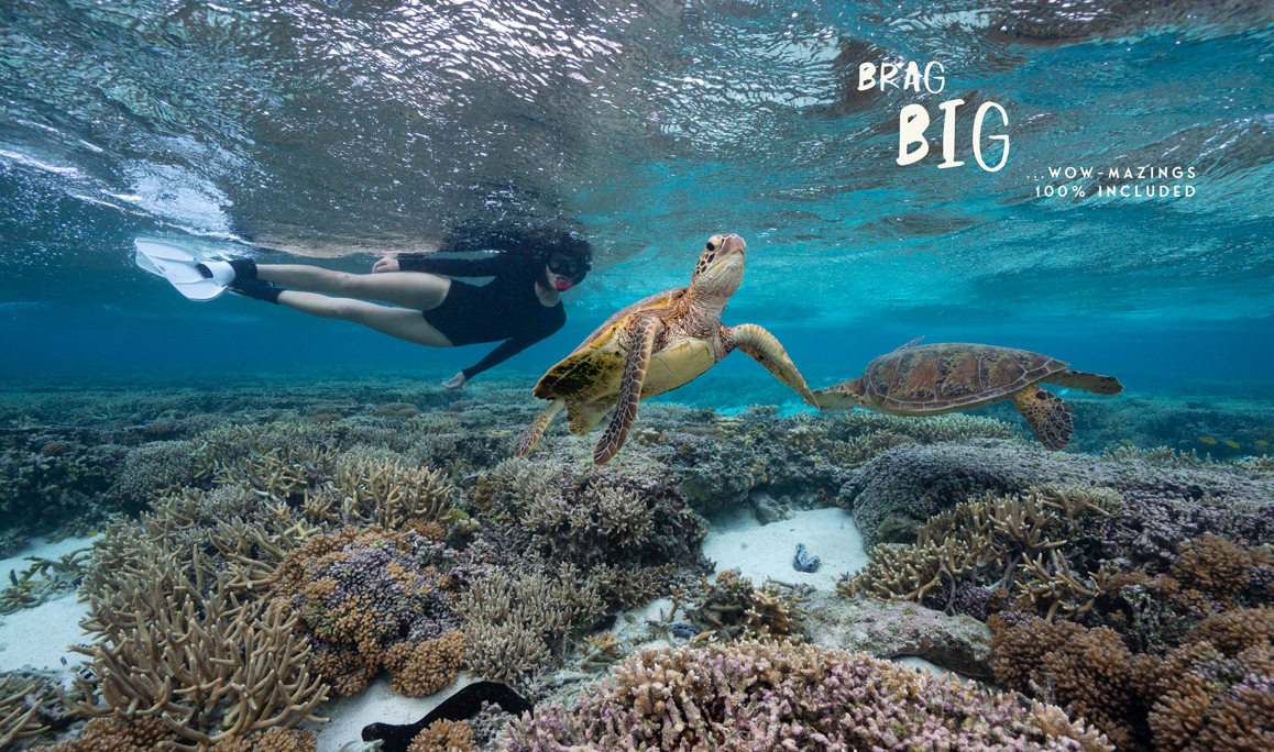QUEENSLAND BUCKET LIST TOURS - Life's An Adventure Wow Mazing Walks