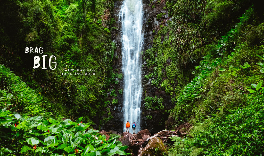 QUEENSLAND BUCKET LIST TOURS - Life's An Adventure Wow Mazing Walks